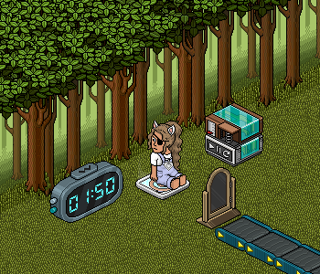 Controlling Counters - Habbox